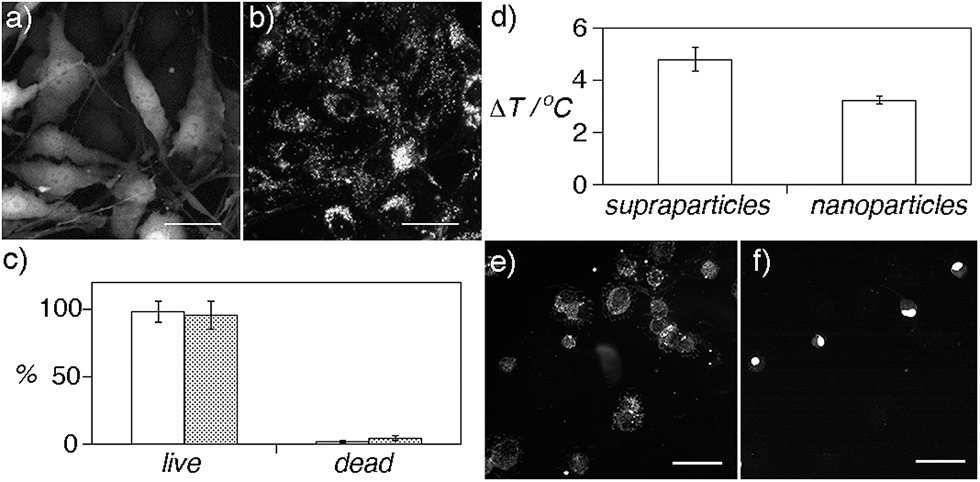 Self-assembly of gold supraparticles with crystallographically aligned and strongly coupled ...