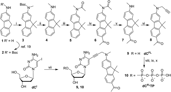 Solvatochromic fluorene-linked nucleoside and DNA as color-changing ...