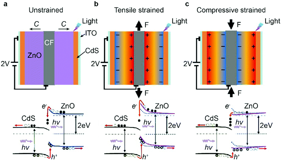 Progress in piezo-phototronic effect enhanced photodetectors - Journal of Materials Chemistry C ...