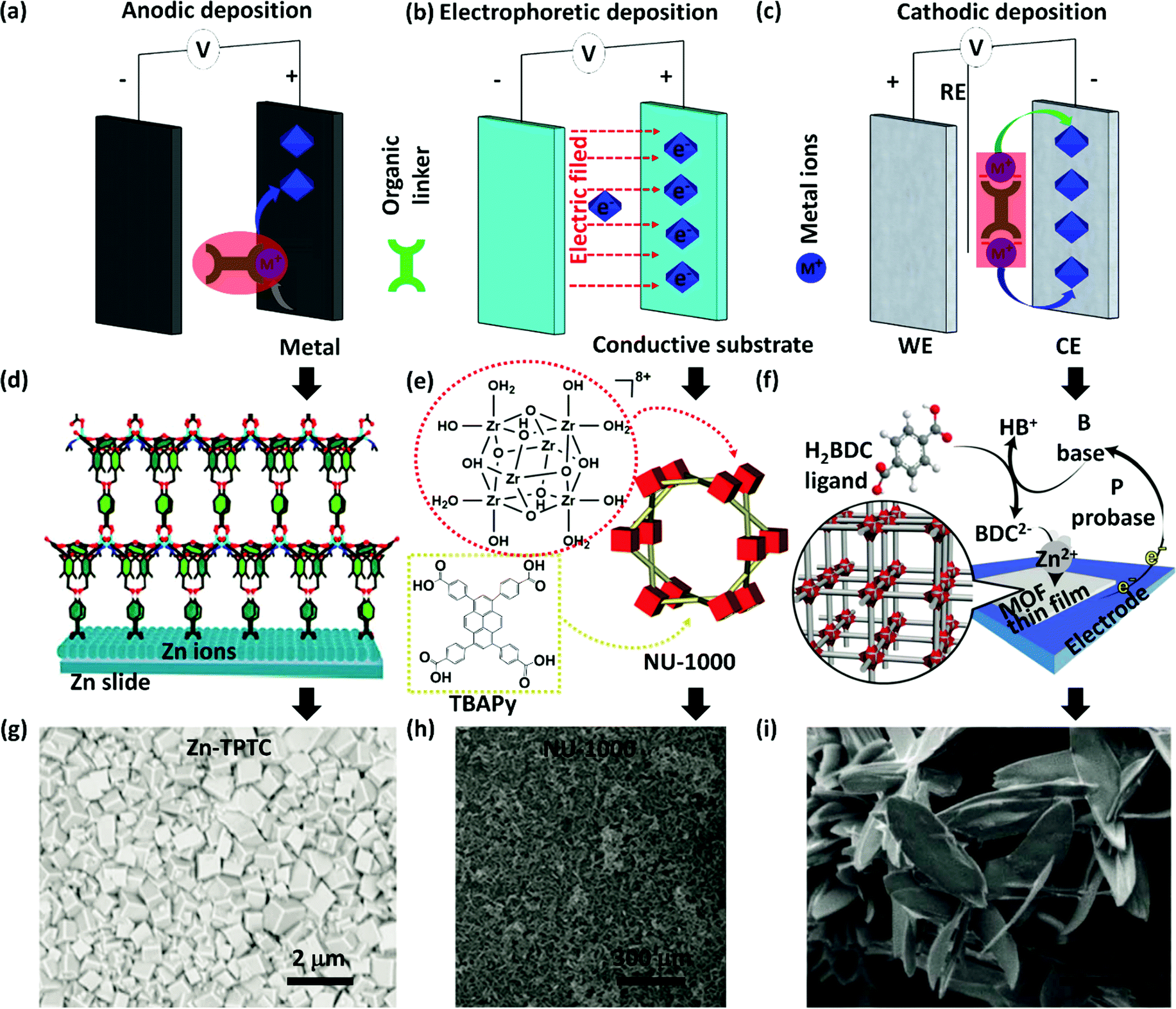 Surface-supported metal–organic framework thin films Surface-supported metal–organic framework thin films