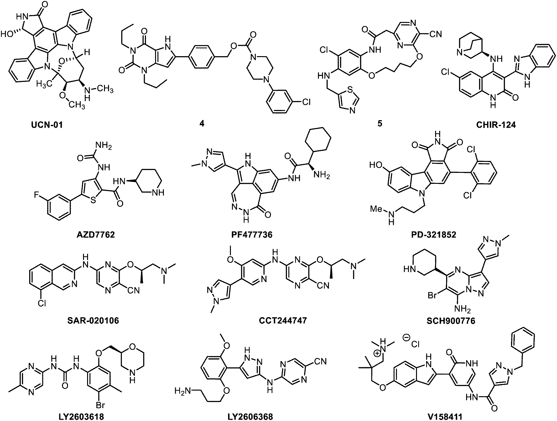 ATM, ATR, CHK1, CHK2 and WEE1 inhibitors in cancer and ATM, ATR, CHK1, CHK2 and WEE1 inhibitors in cancer and