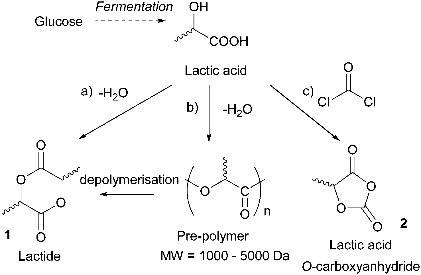 Polymers from sugars: cyclic monomer synthesis, ring-opening ...