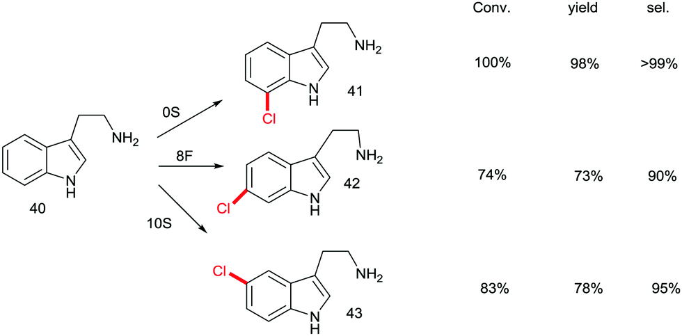 Enzymatic site-selectivity enabled by structure-guided directed ...