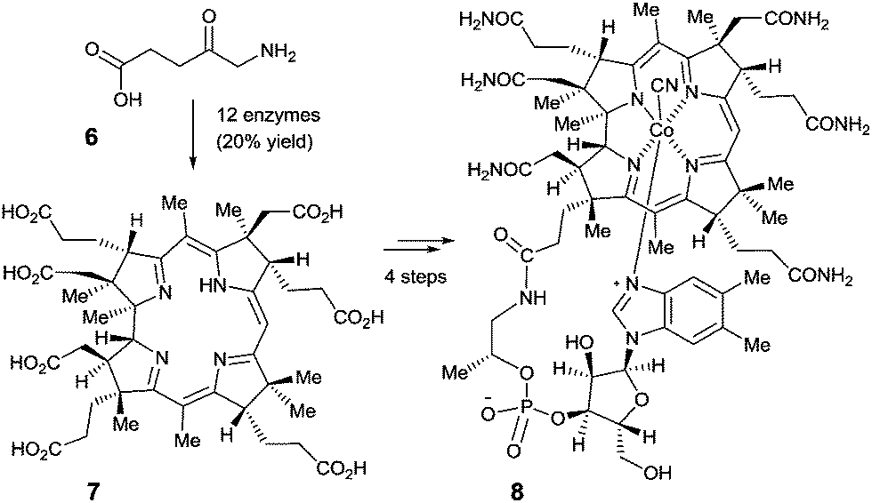 Enzymatic site-selectivity enabled by structure-guided directed ...