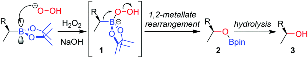 Stereospecific functionalizations and transformations of secondary and ...