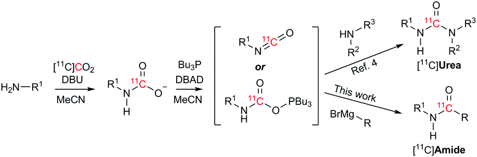 From [ 11 C]CO 2 to [ 11 C]amides: a rapid one-pot synthesis via the ...