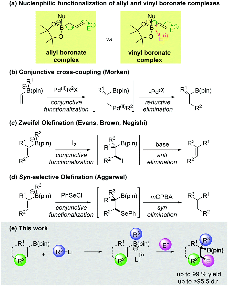 Conjunctive functionalization of vinyl boronate complexes with ...