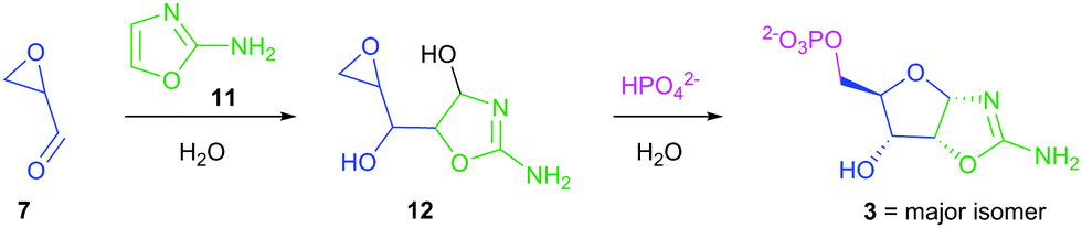 Prebiotic synthesis of aminooxazoline-5′-phosphates in water by ...
