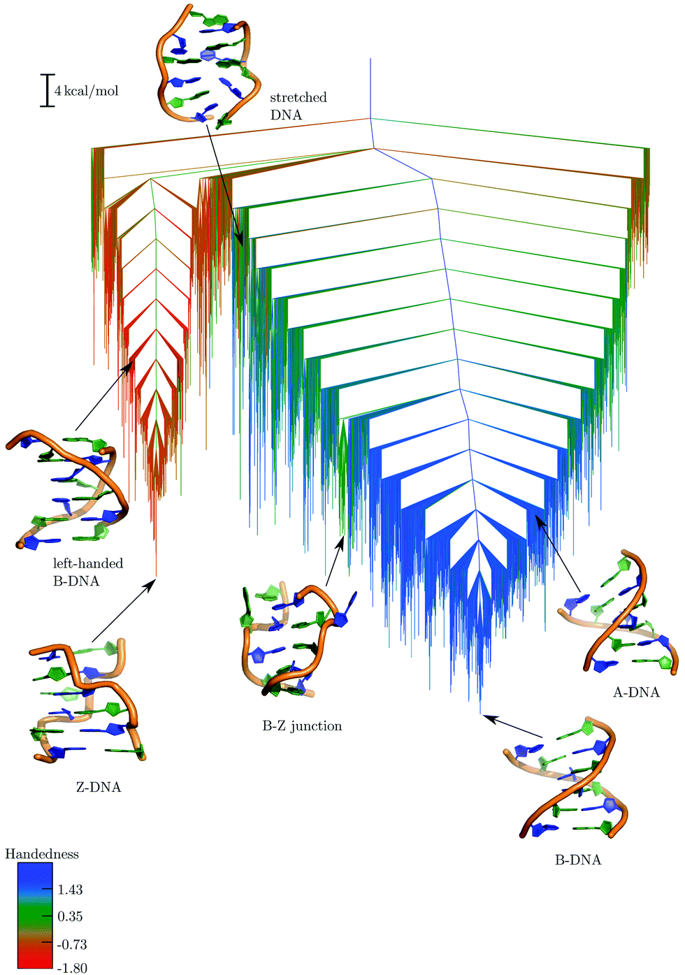 Exploring biomolecular energy landscapes - Chemical Communications (RSC ...