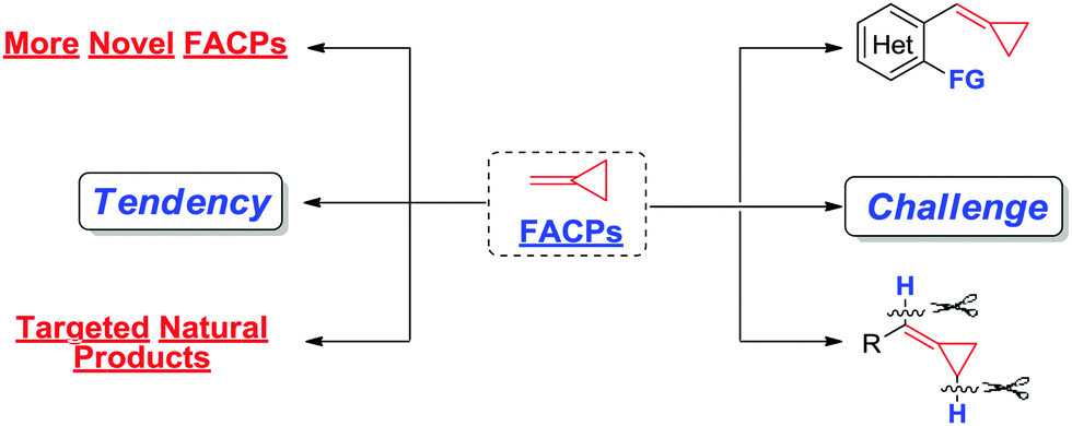 Recent advances in the chemical transformations of functionalized ...