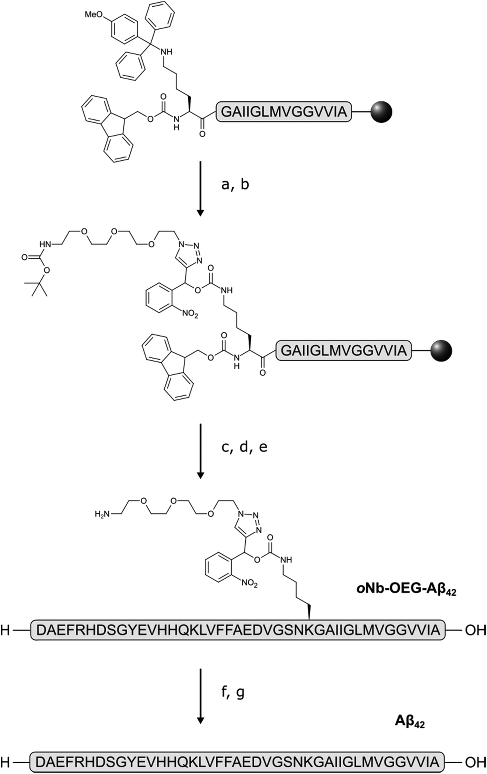 The efficient synthesis and purification of amyloid-β(1–42) using an ...