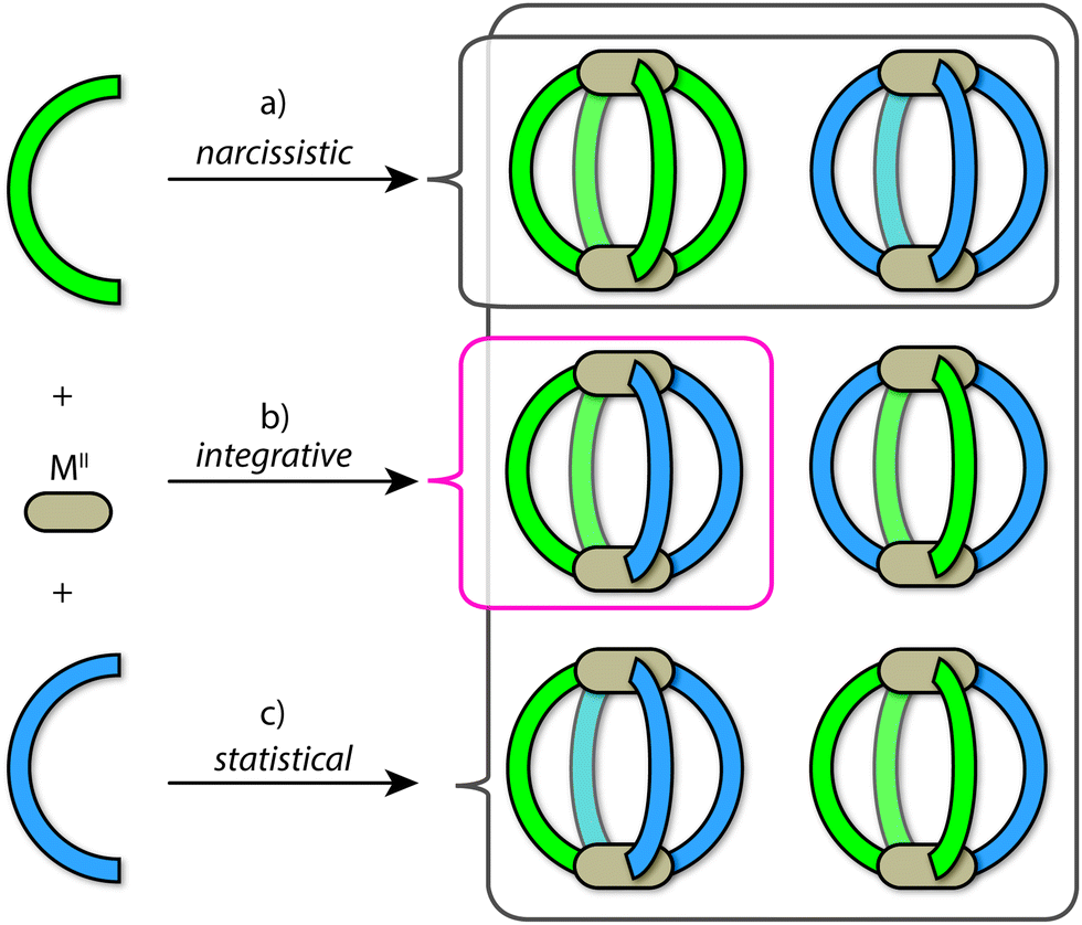 Integrative self-sorting of coordination cages based on ‘naked’ metal ...