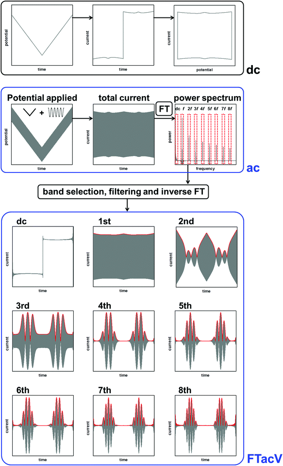Probing biological redox chemistry with large amplitude Fourier ...