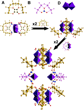 Exploring structural complexity in the discovery and self-assembly of a ...