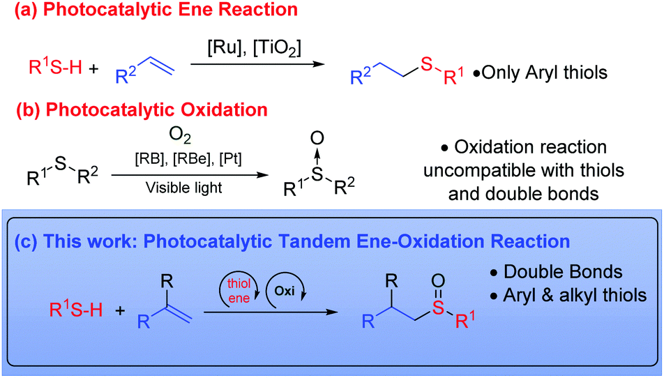 Thiol Oxidation Mechanism