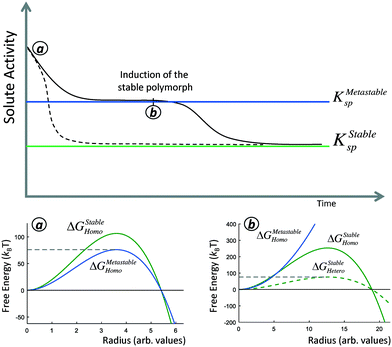 Induction time of a polymorphic transformation - CrystEngComm (RSC ...