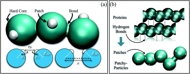 Limiting the valence: advancements and new perspectives on patchy ...