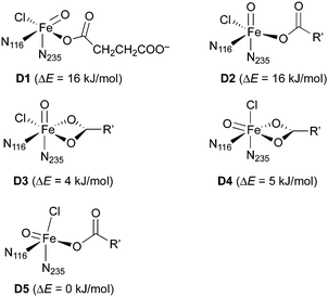 Formation and structure of the ferryl [Fe[double bond, length as m-dash ...