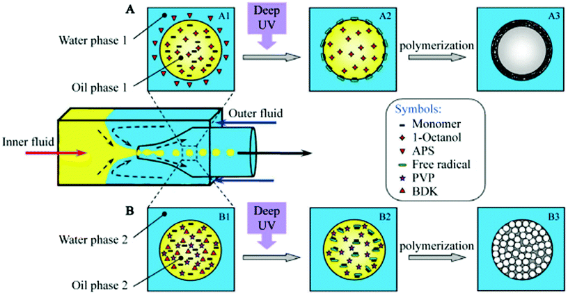 Macroporous materials: microfluidic fabrication, functionalization and ...