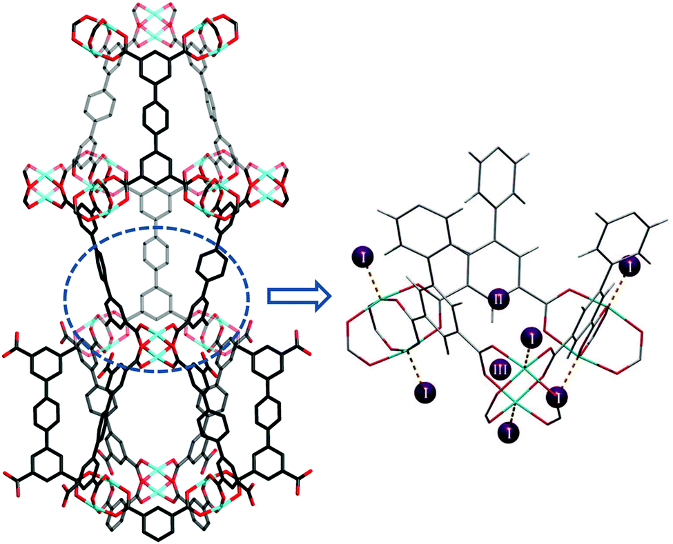 Structural and dynamic studies of substrate binding in porous metal ...