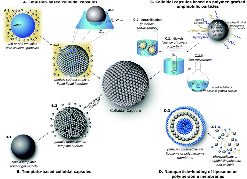 Colloidal capsules: nano- and microcapsules with colloidal particle ...