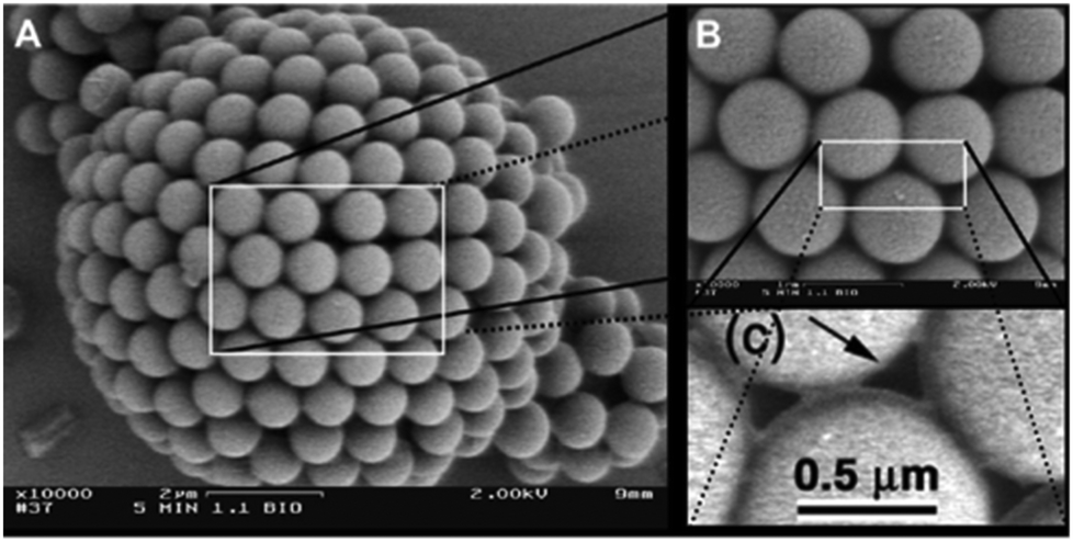Colloidal capsules: nano- and microcapsules with colloidal particle ...