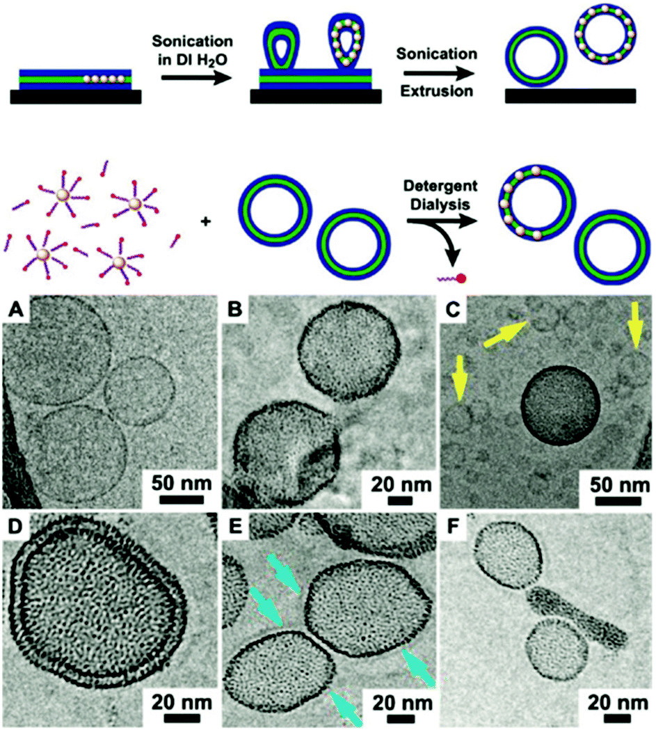 Colloidal capsules: nano- and microcapsules with colloidal particle ...