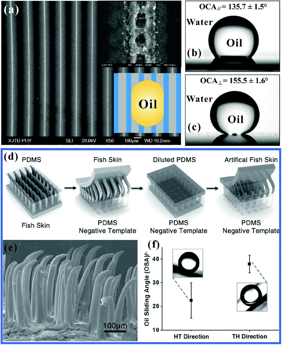 Superoleophobic surfaces - Chemical Society Reviews (RSC Publishing ...