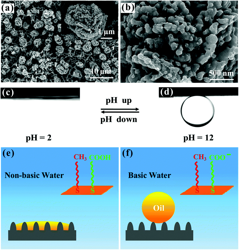 Superoleophobic surfaces - Chemical Society Reviews (RSC Publishing ...