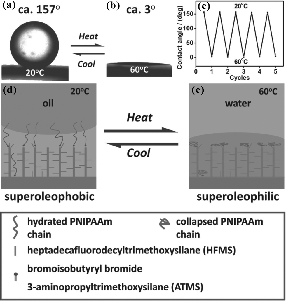 Superoleophobic surfaces - Chemical Society Reviews (RSC Publishing ...