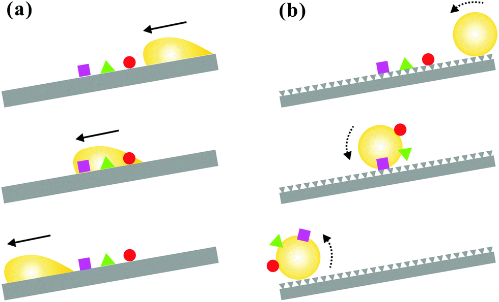 Superoleophobic surfaces - Chemical Society Reviews (RSC Publishing ...