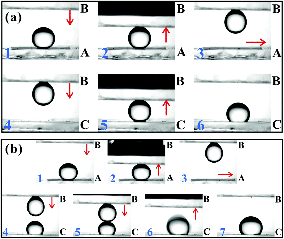 Superoleophobic surfaces - Chemical Society Reviews (RSC Publishing ...