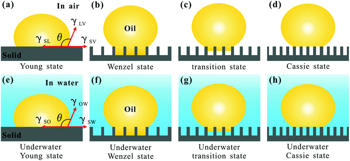 Superoleophobic surfaces - Chemical Society Reviews (RSC Publishing ...
