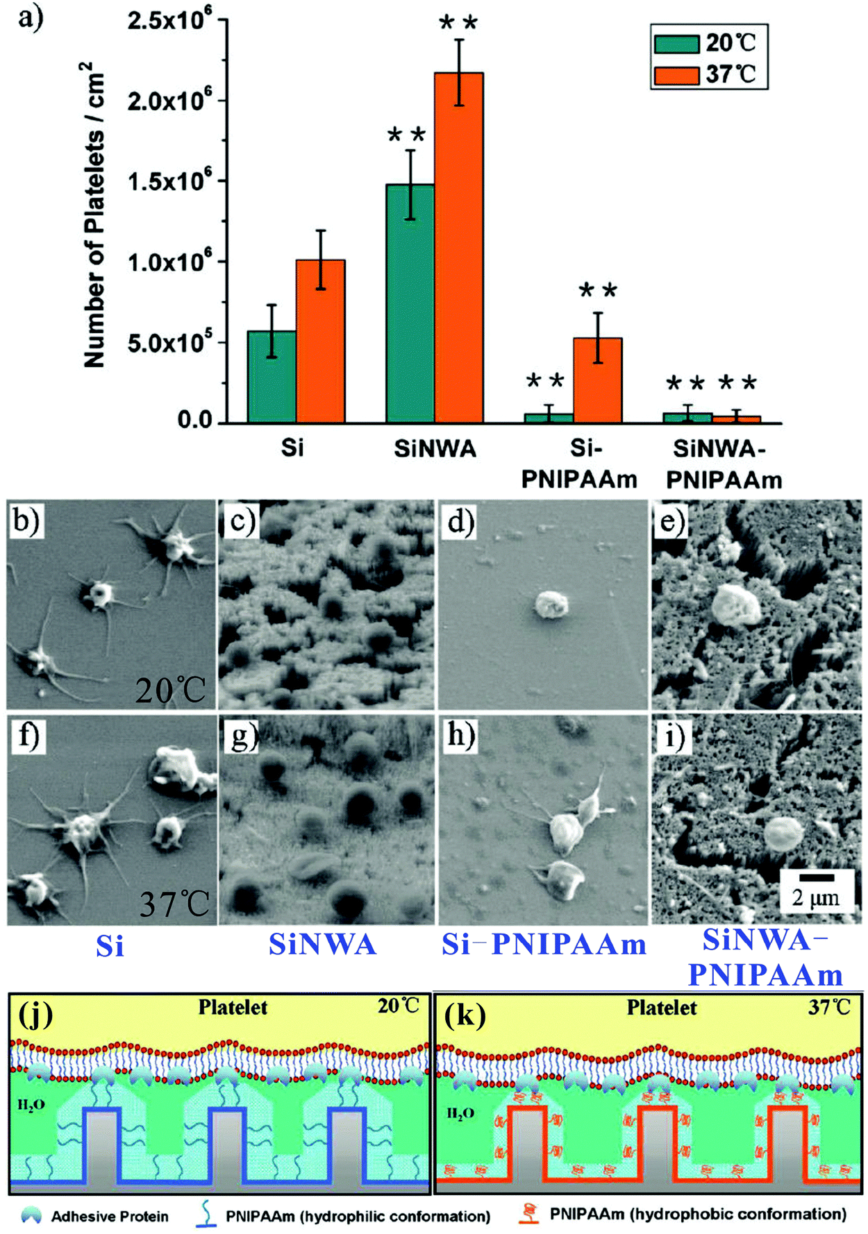 Superoleophobic surfaces - Chemical Society Reviews (RSC Publishing ...