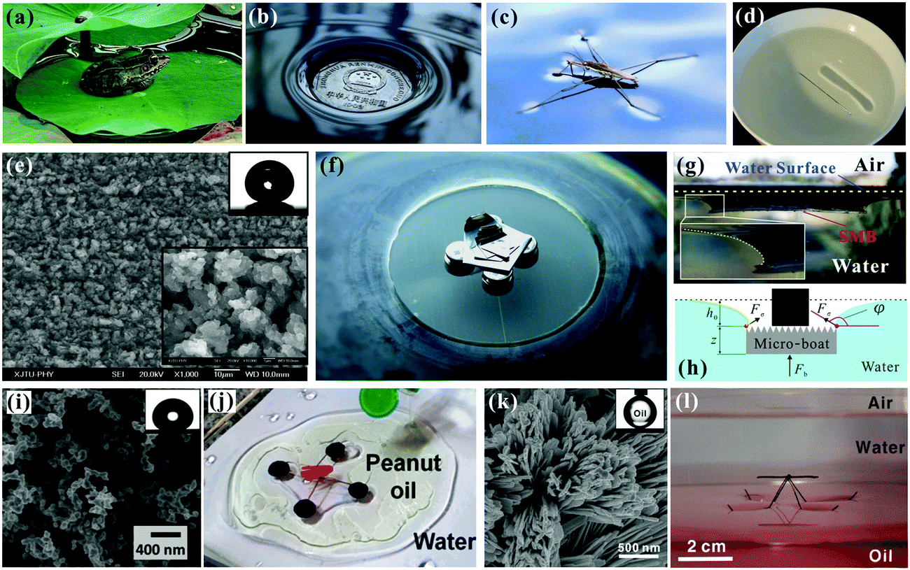 Superoleophobic surfaces - Chemical Society Reviews (RSC Publishing ...
