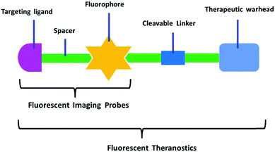 Fluorescent chemical probes for accurate tumor diagnosis and targeting ...