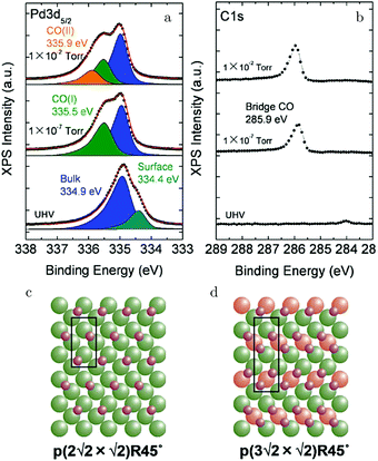 Surface science under reaction conditions: CO oxidation on Pt and Pd ...