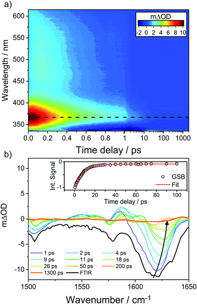 Photoprotection: extending lessons learned from studying natural ...