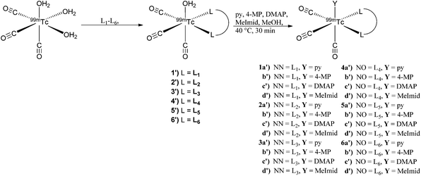 Influence of bidentate ligand donor types on the formation and ...