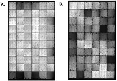Potential-induced degradation in photovoltaic modules: a critical ...