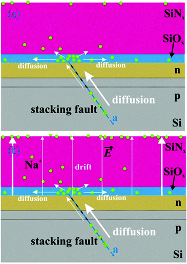 Potential-induced degradation in photovoltaic modules: a critical ...