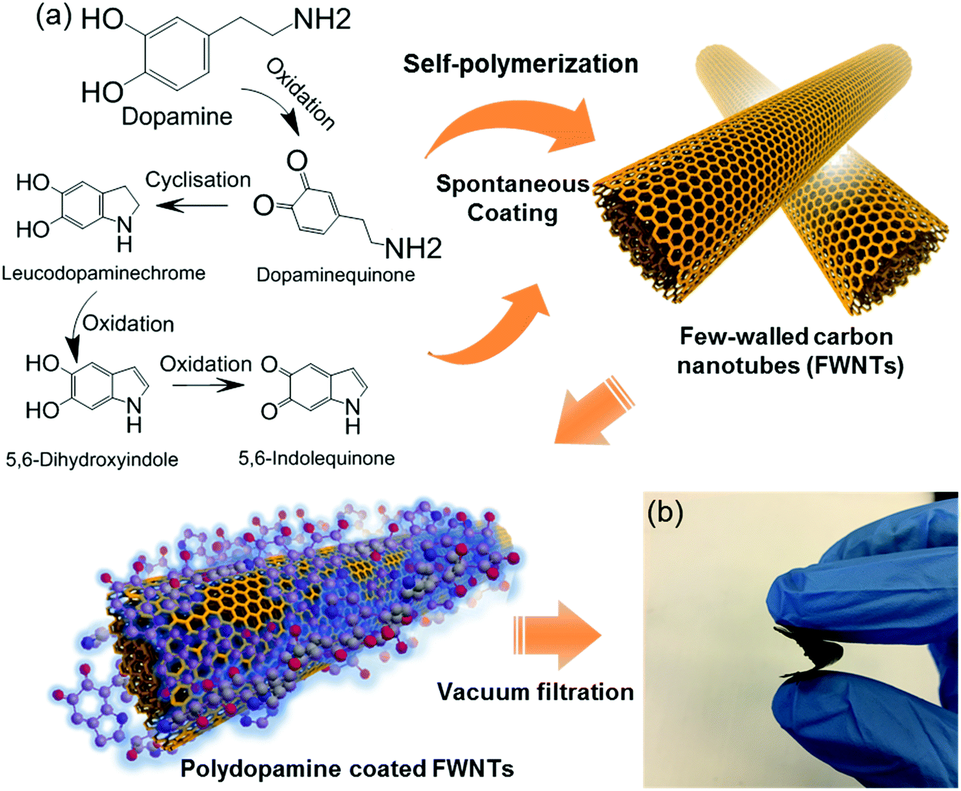 Self-polymerized dopamine as an organic cathode for Li- and Na-ion ...