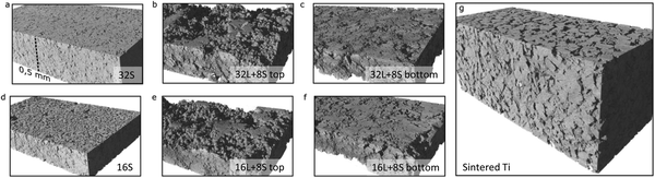 Comprehensive investigation of novel pore-graded gas diffusion layers ...
