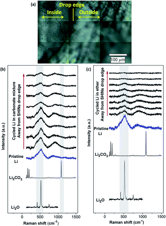 Shell isolated nanoparticles for enhanced Raman spectroscopy studies in ...