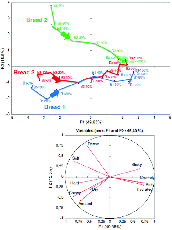 Bolus matters: the influence of food oral breakdown on dynamic texture ...
