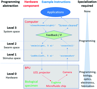 Device and programming abstractions for spatiotemporal control of ...