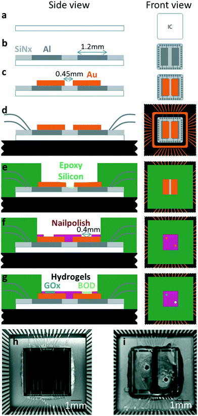 On-chip enzymatic microbiofuel cell-powered integrated circuits - Lab ...