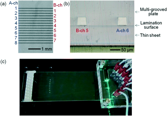 A simple and highly sensitive spectroscopic fluorescence-detection ...
