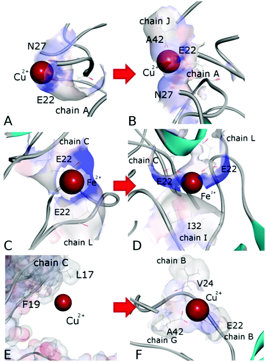Probing oligomerization of amyloid beta peptide in silico - Molecular ...