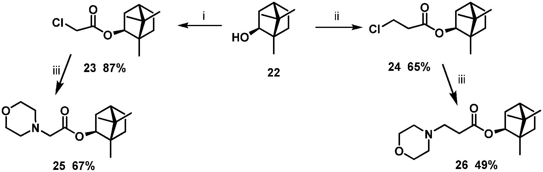 Synthesis and in vitro study of novel borneol derivatives as potent ...
